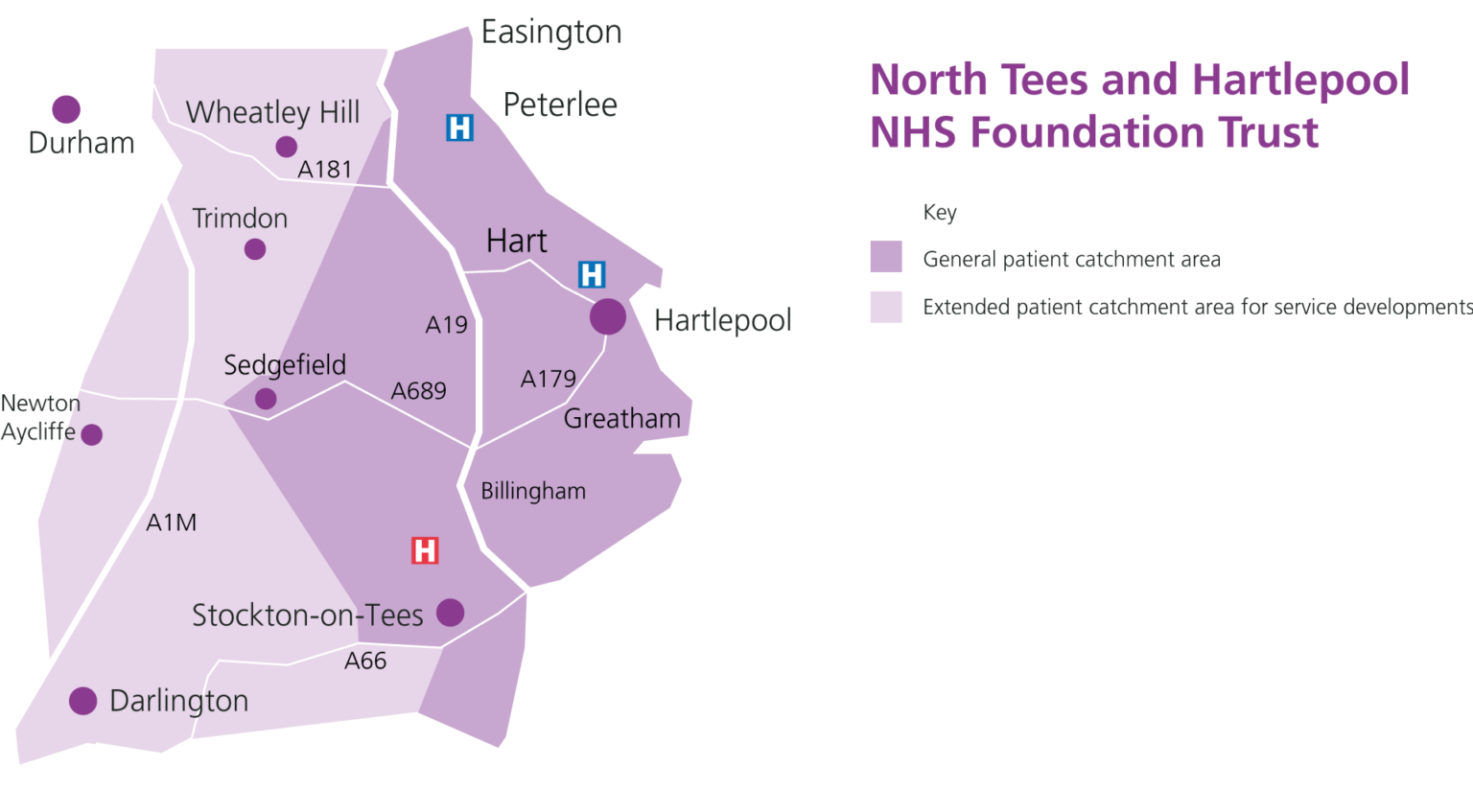TEES JOINT CEO ABOUT NORTH TEES - CONEXAS MICROSITES